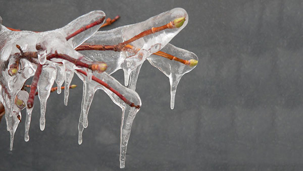 Reducing Freeze Damage to Orchards and Crop Fields - Fusion 360